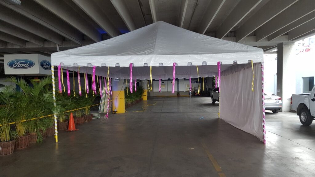 CARPA 6X6 mts – Alegre Eventos